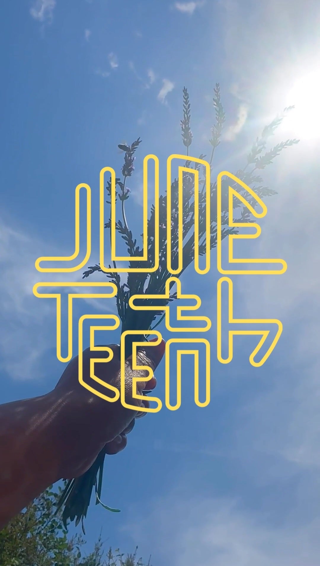 Lavender Lessons from Niambi's Garden – pholk beauty